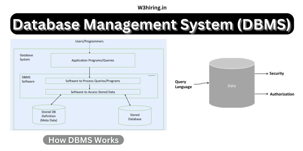 Essential Guide to Database Management System (DBMS) – Improve Your Data Management! - w3 Hiring